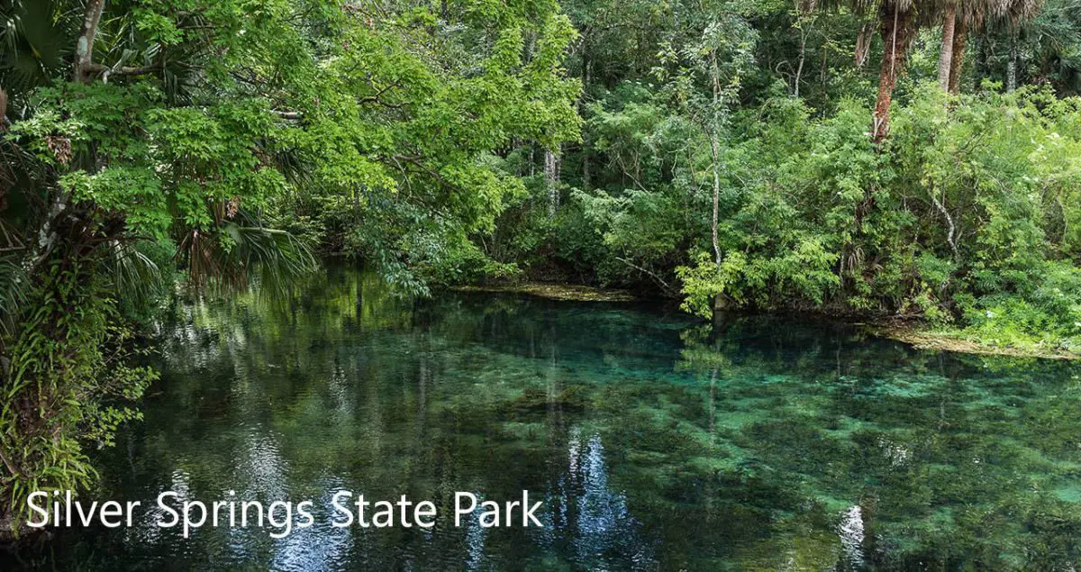 Silver Springs State Park - Famous Historical Park